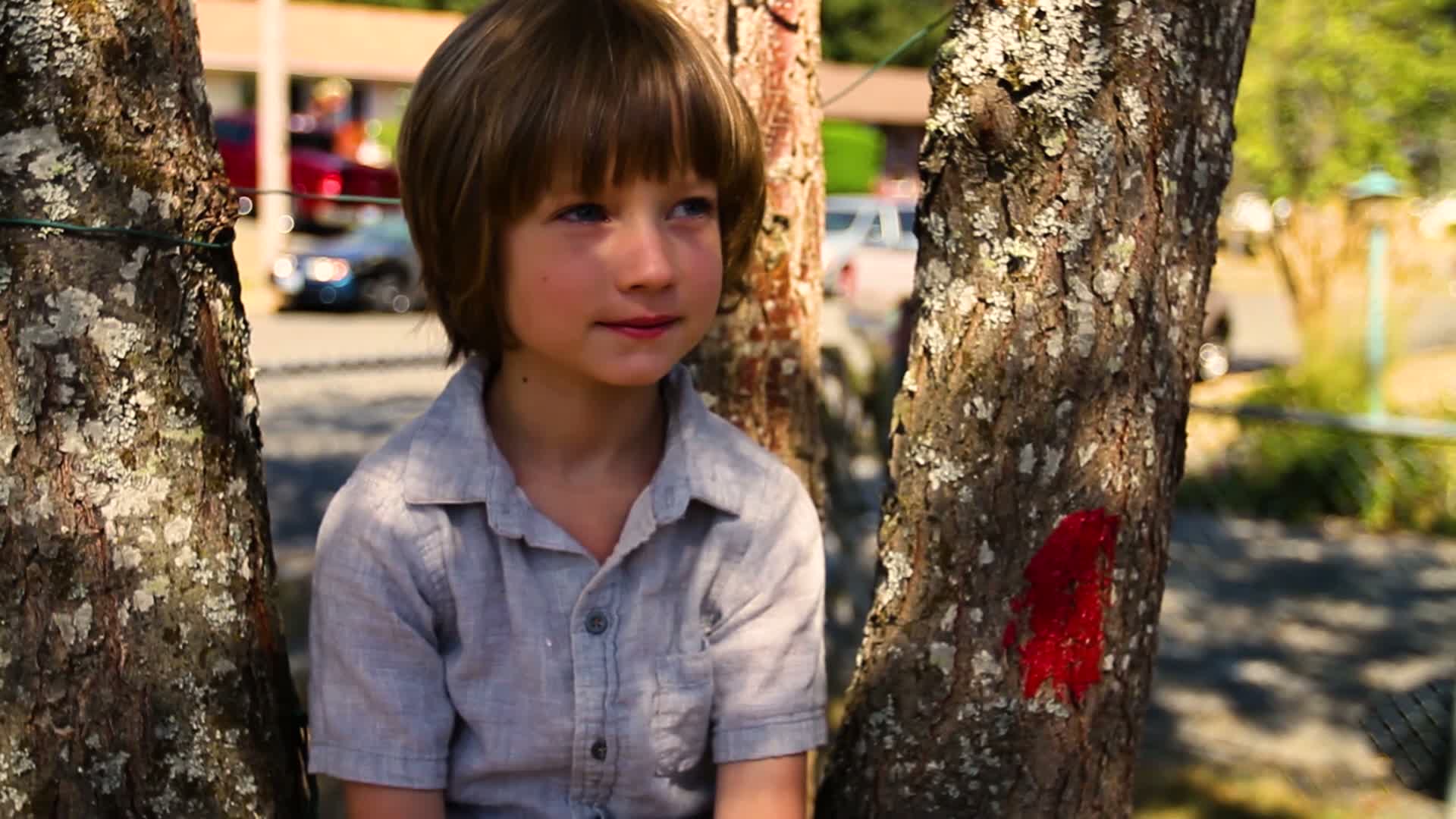 Henry’s LEAF: An Interview with Henry Marr